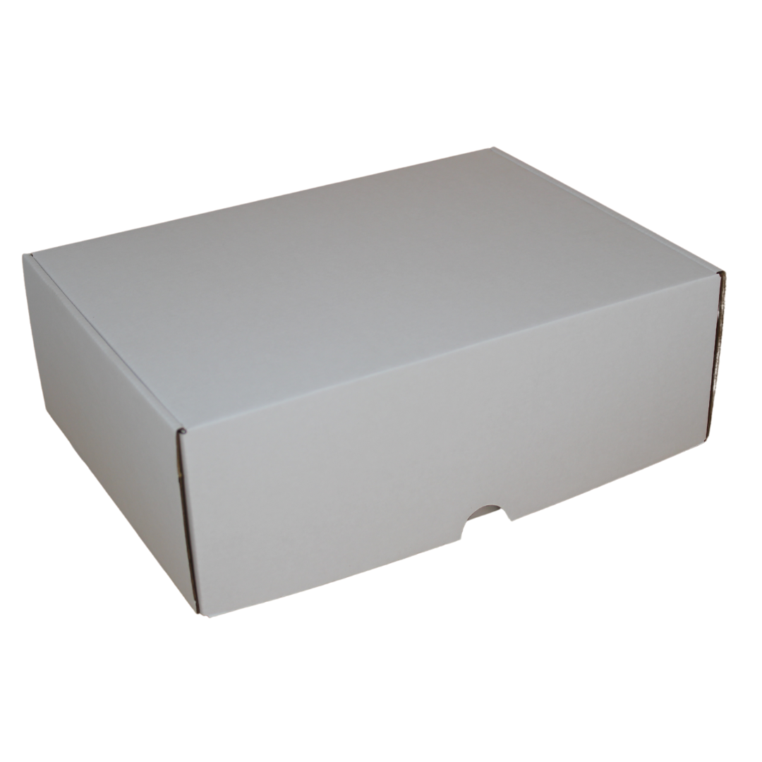 220x160x55mm (100pcs) - White Die-Cut Boxes – PackNBag